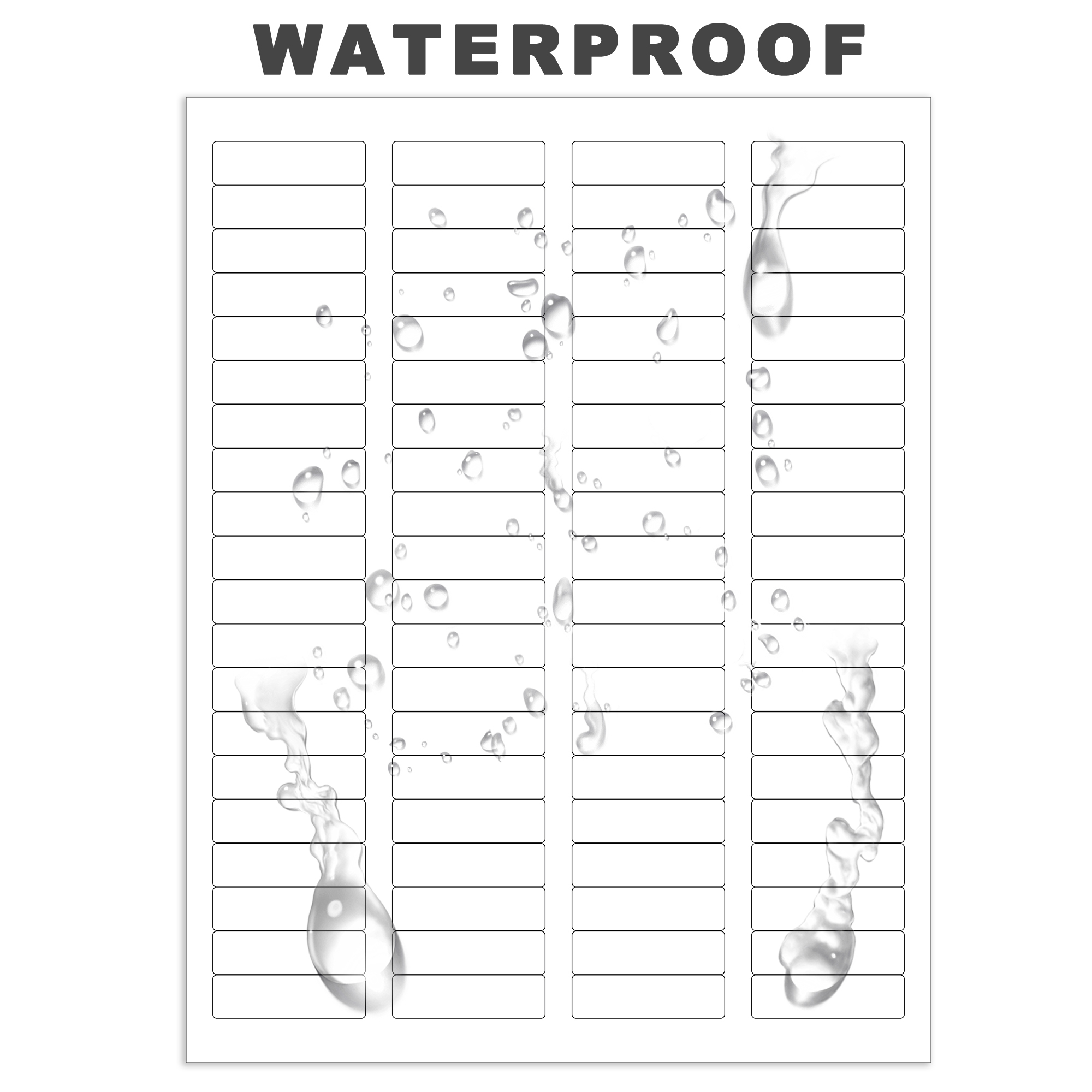 Mr Label Template